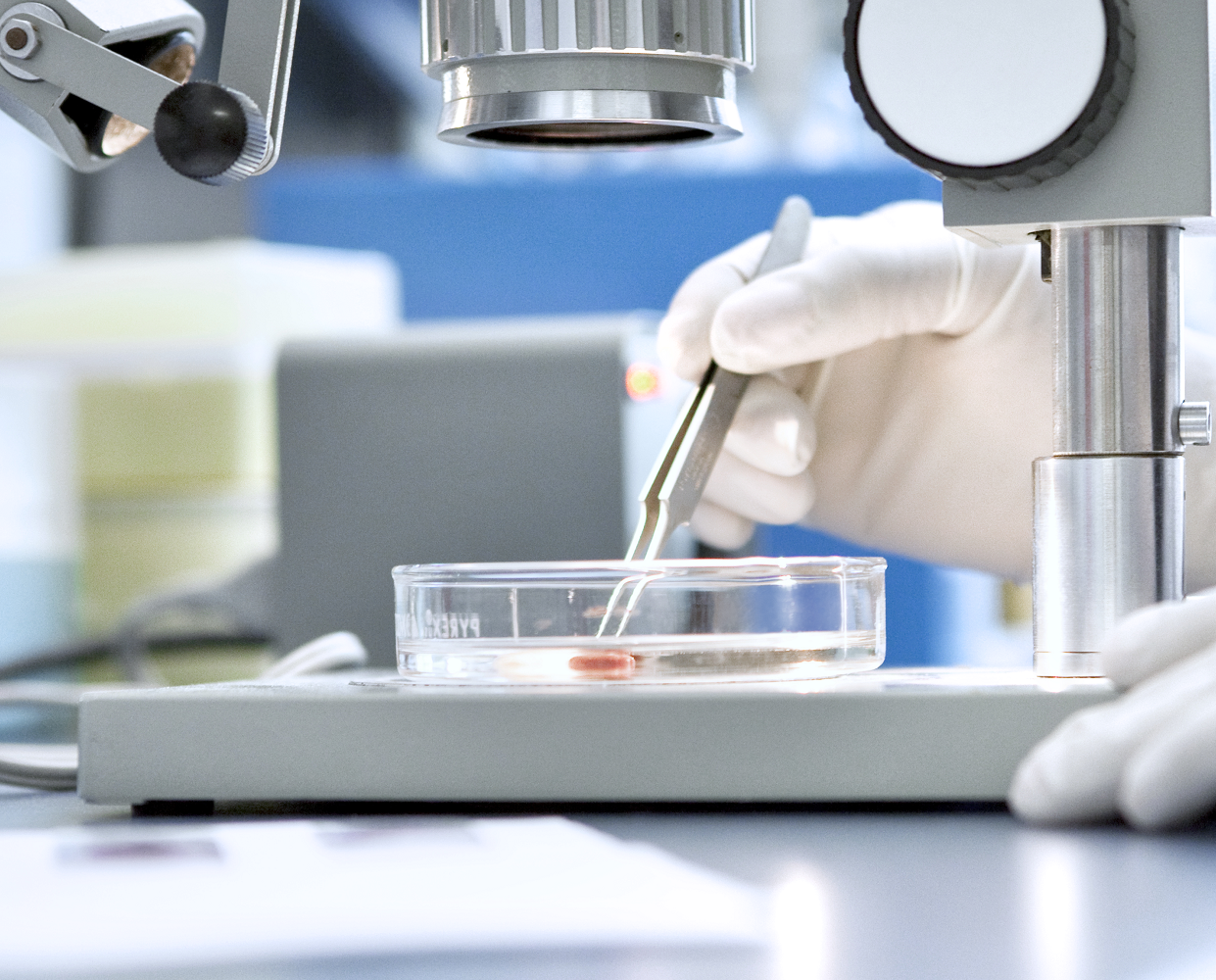 Are all microcaps the same? | Syngenta PPM Middle East & North Africa